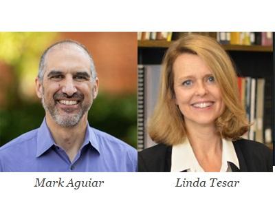 The Financialization of Commodity Markets | NBER